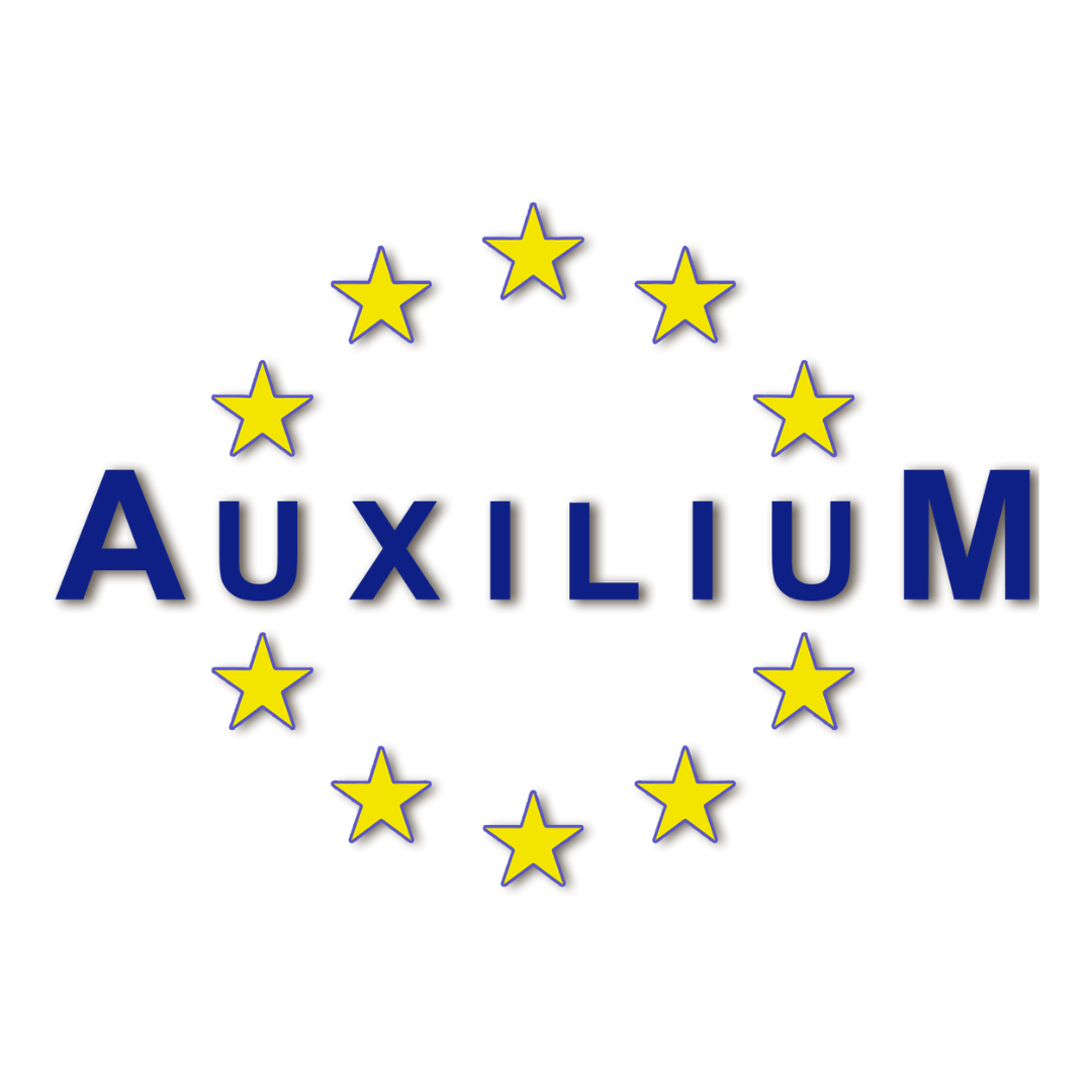 Verein Auxilium - MICRO QUEST