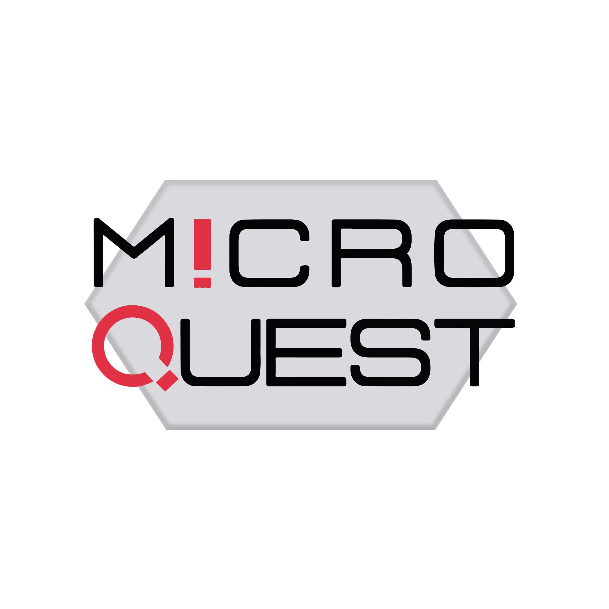 Member Placeholder 1 - MICRO QUEST